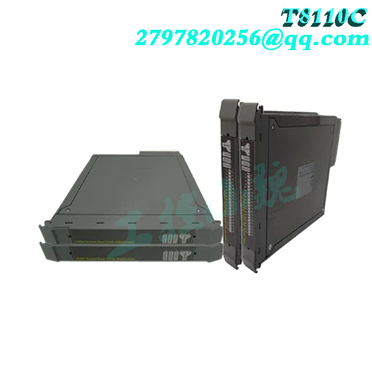 ICS TRIPLEX TC-302-02-4M0 - Xiongba Automation