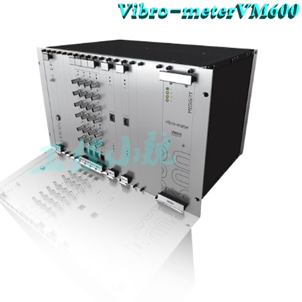 VIBRO-METER VMS830 vibration monitor - Xiongba Automation