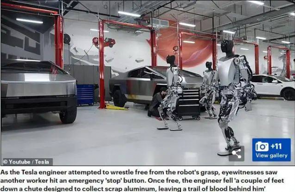 This robot is not that robot, Musk responded, "Tesla robots hurt people ...